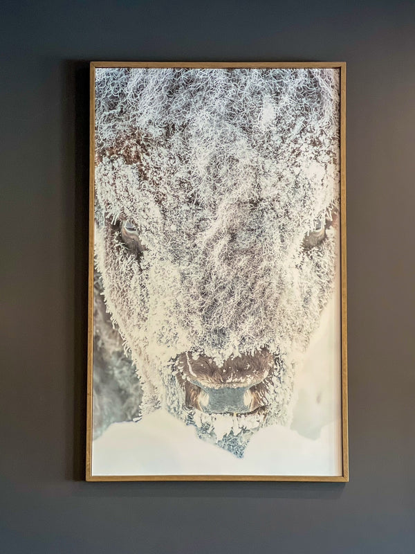 Buffalo Wall Art - Timber & Beam